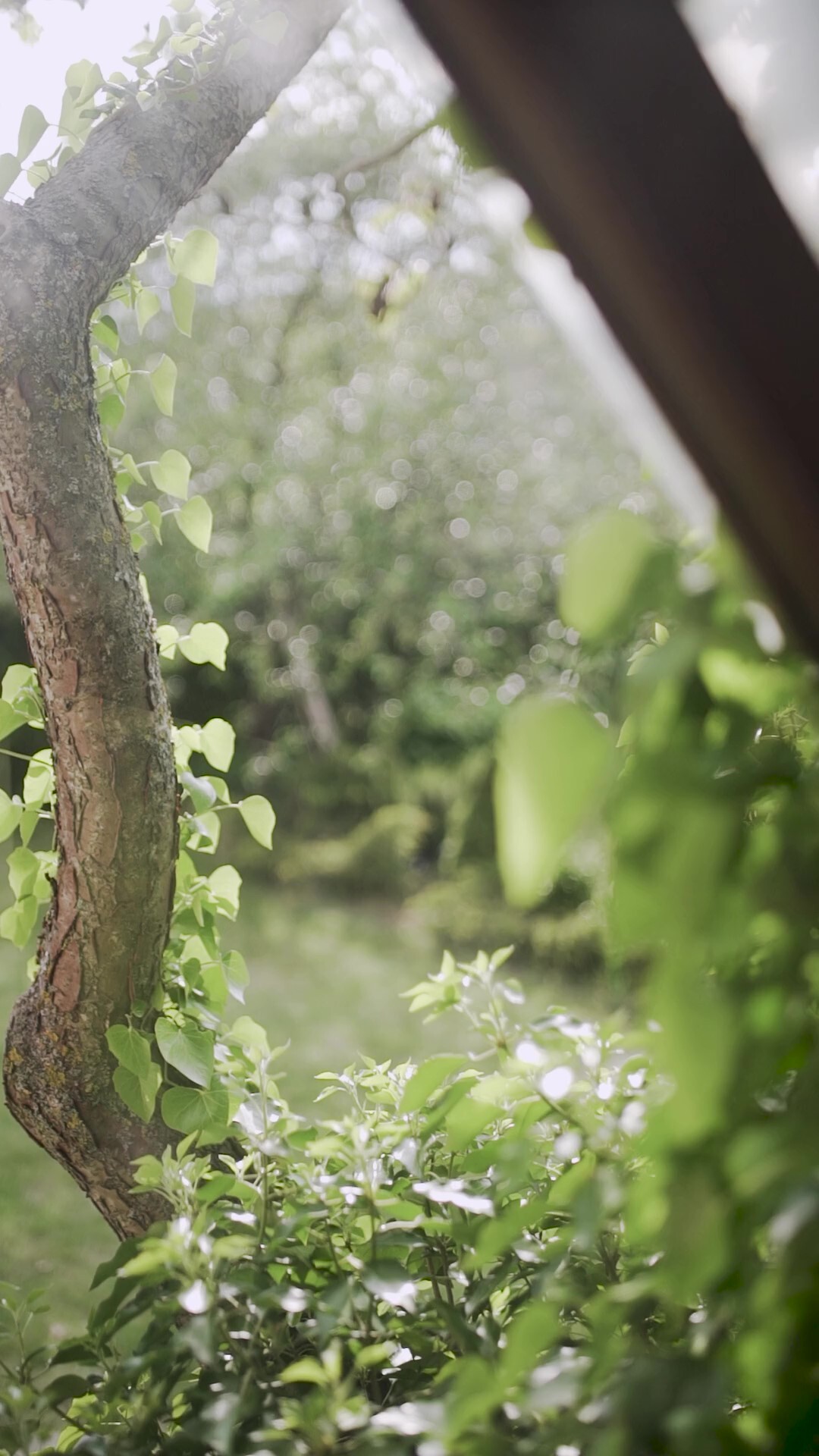 Altyn Ai – Дом, где живет счастье