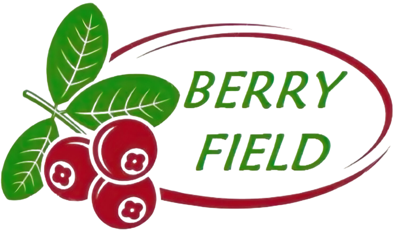 Berry Field - поставщики высококачественной замороженнной продукции