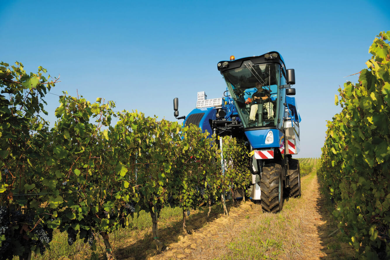 Service | Agritech | ENG