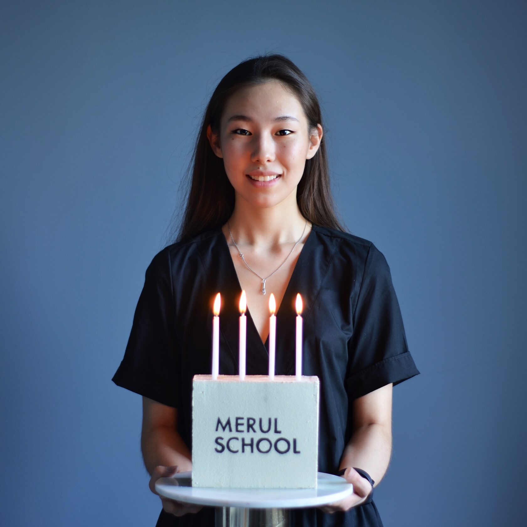 Merul School Online Courses