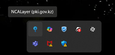 NCA Layer - Инструкции по использованию на платформе idocs