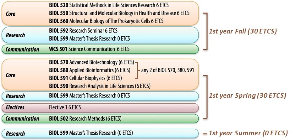 Department of Biology/MSc in Life Sciences