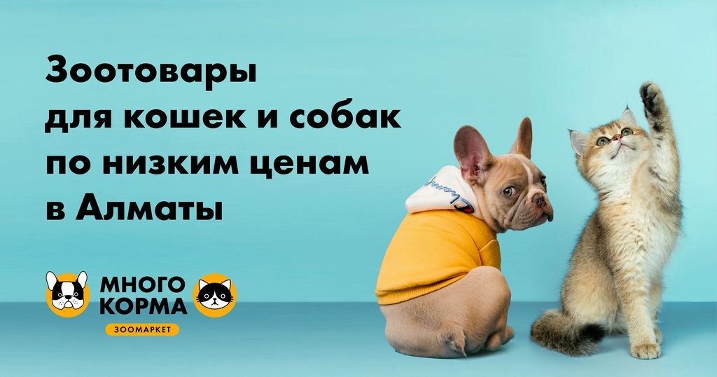 Переноски для кошек в Алматы. Купить переноску для кошки в самолет