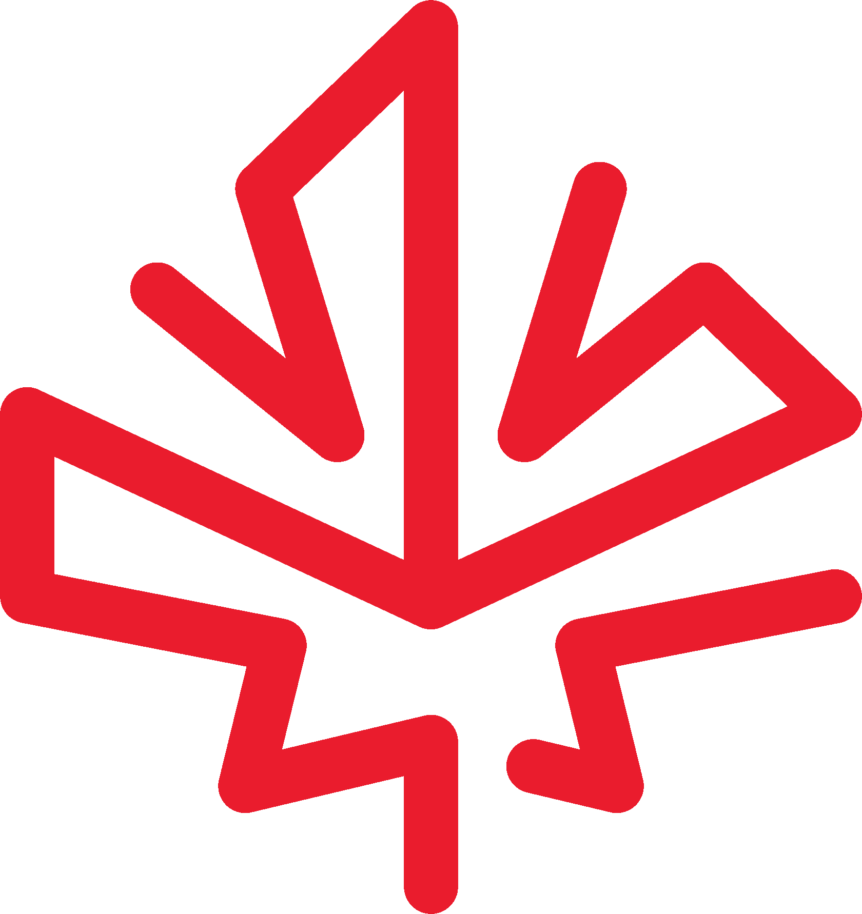 Canadian International School