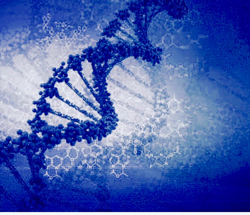Протокол Высвобождения Боли, Страха и Ужаса (PTRP).